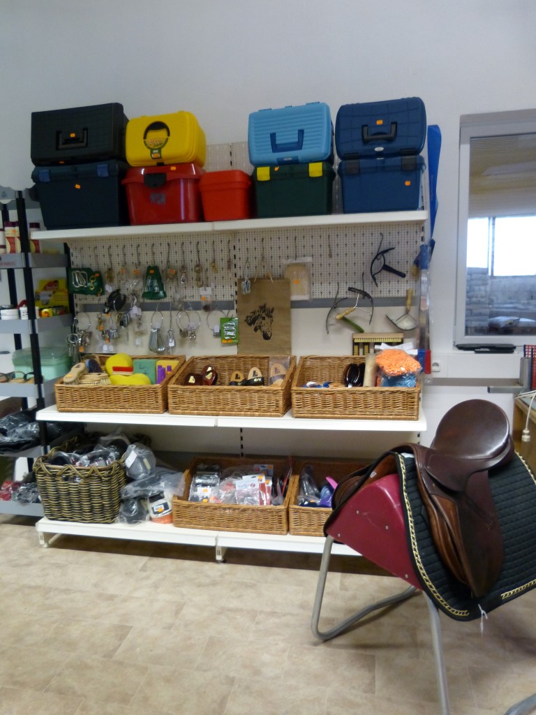 Reitsport-Sortiment bei Holzner Pferdefutter - Holzner Pferdefutter